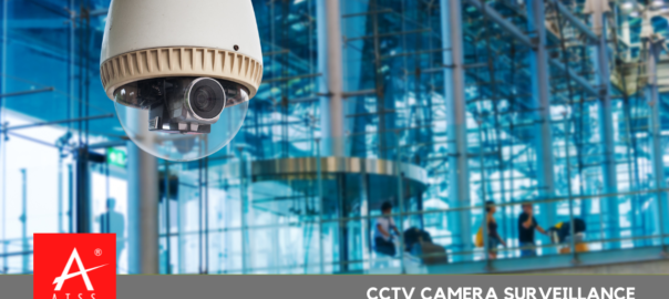 CCTV Archives - Electronic Security Systems | Automation